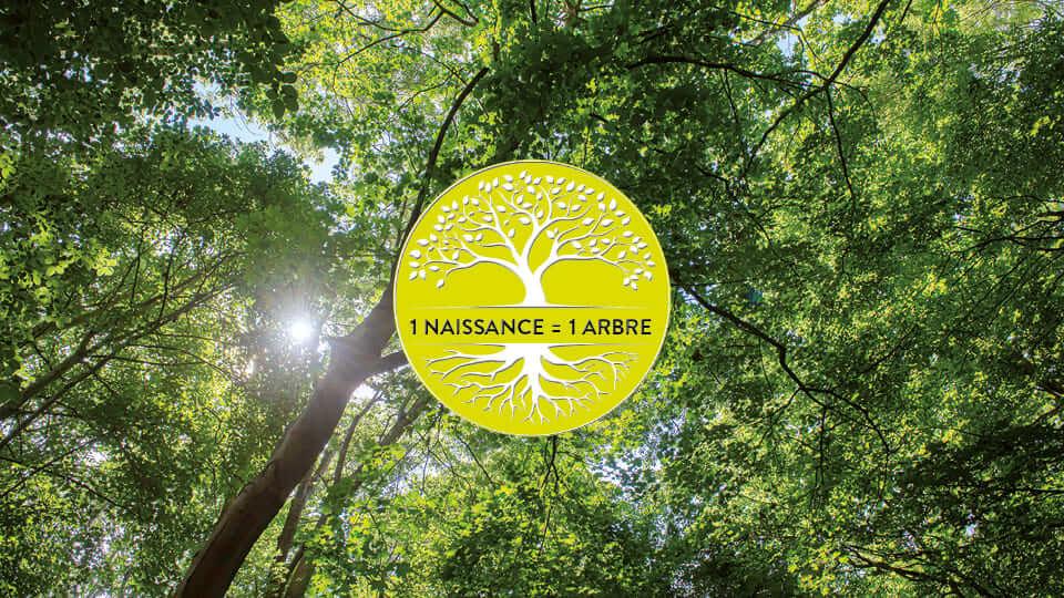 Une naissance, la plantation d'un arbre | Hérouville Saint-Clair